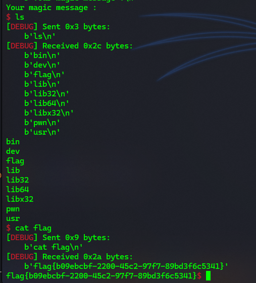 CISCN2024初赛 | str1k3